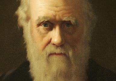 Darwin’s Nagging Doubt | Commonweal Magazine