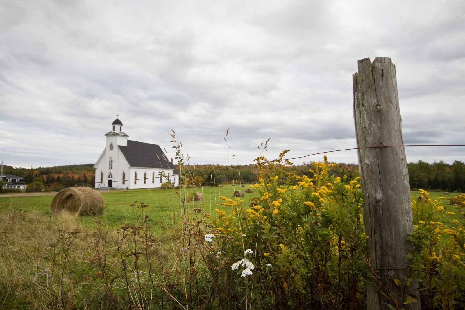 Antigonish Activist | Commonweal Magazine