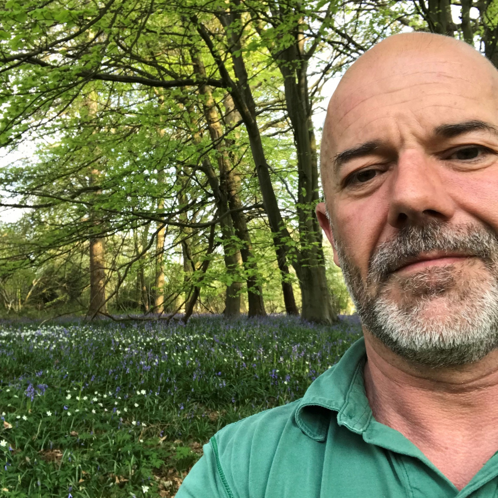 there-will-be-blogs-commonweal-magazine
