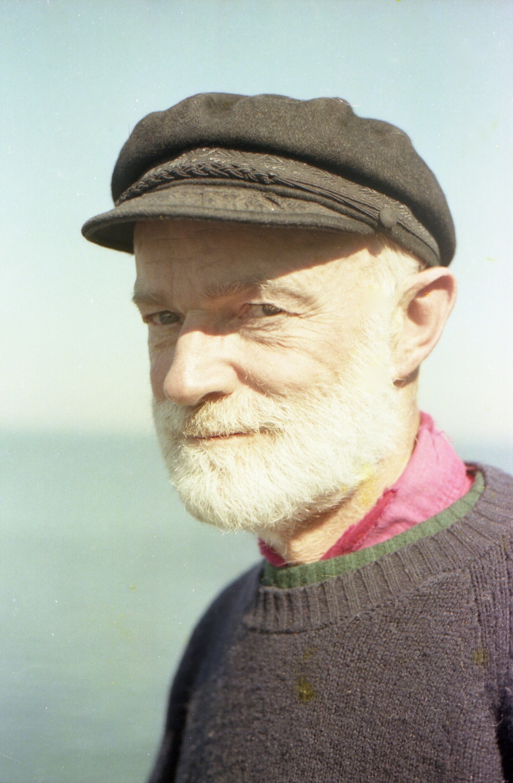 From Catholic Worker to DSA | Commonweal Magazine