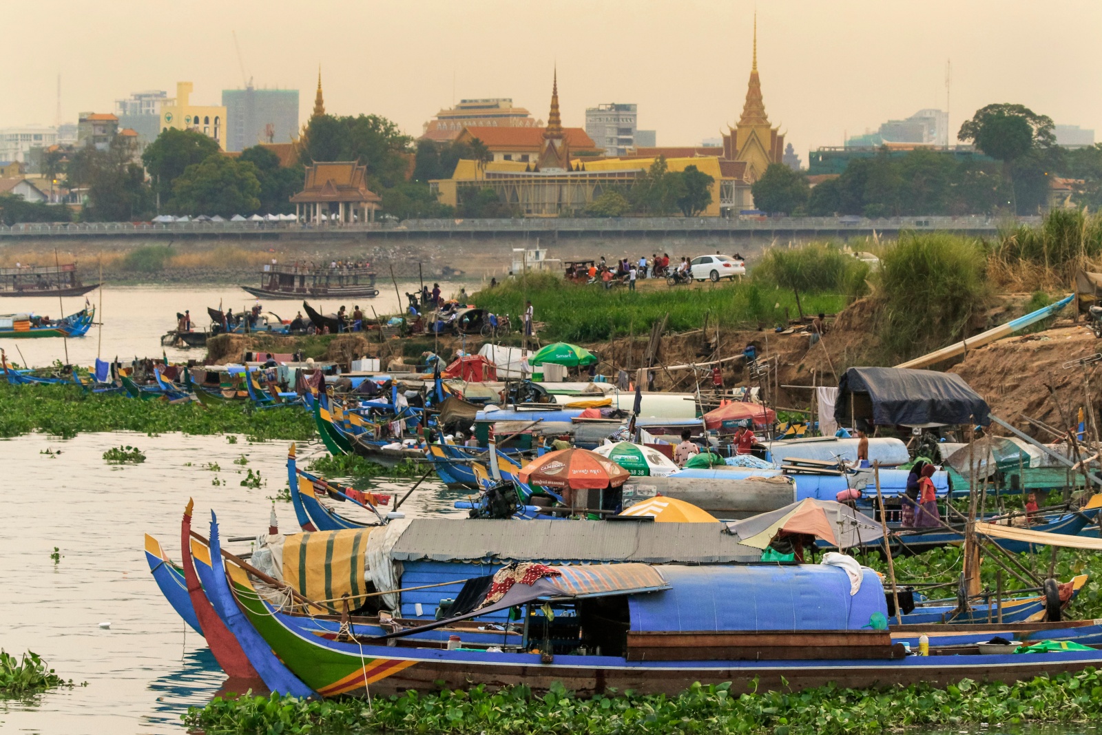 Damage & Survival | Commonweal Magazine