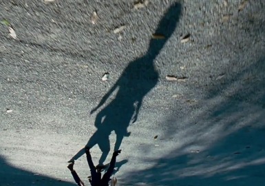 'How All Things Fit Together' | Commonweal Magazine