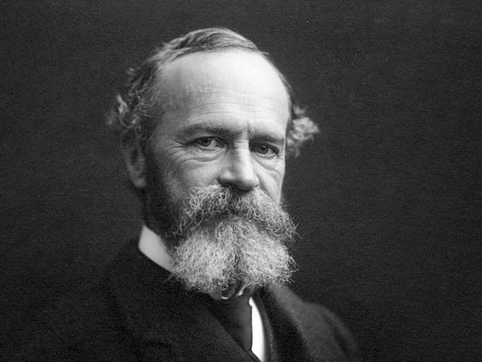 Captives of Habit | Commonweal Magazine