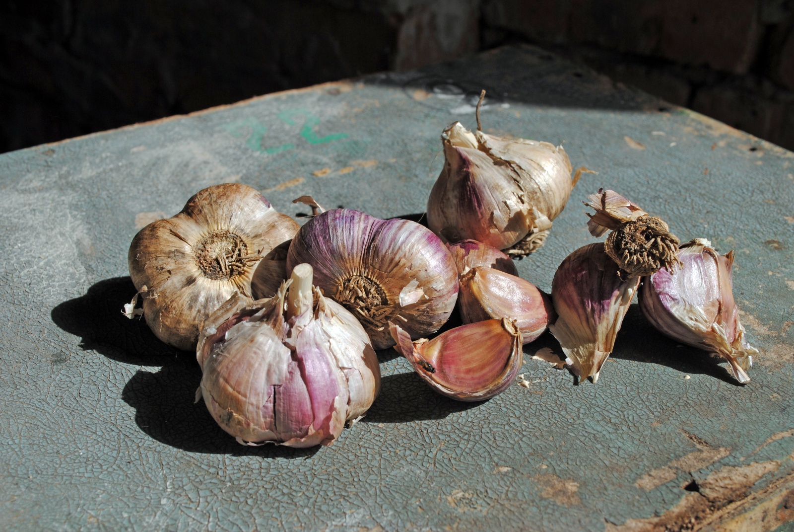 Poem | Garlic | Commonweal Magazine