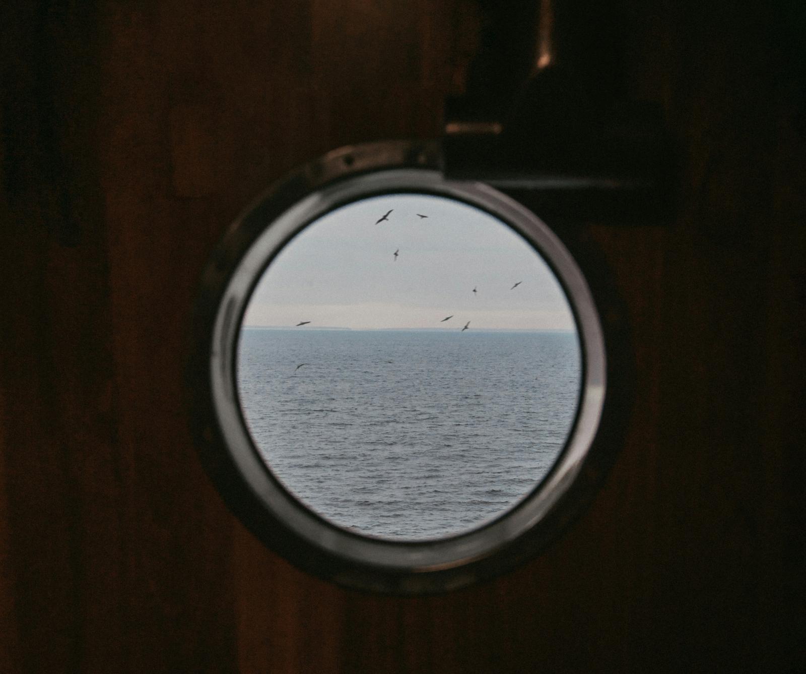 Poem | In the Absence of Clear Guidance | Commonweal Magazine