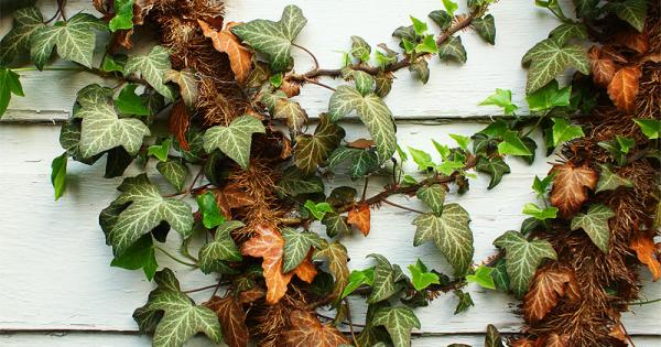 Two Poems by Gary Stein | Commonweal Magazine