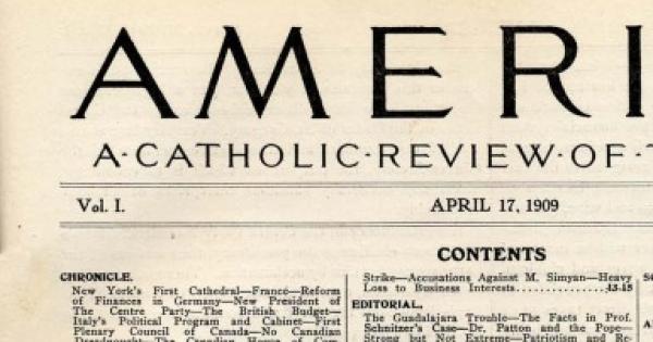 America's Politics | Commonweal Magazine