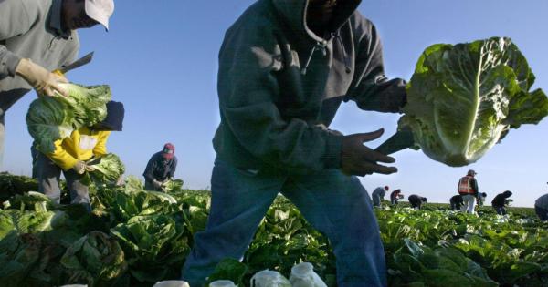 Growing Heavy for the Vintage | Commonweal Magazine